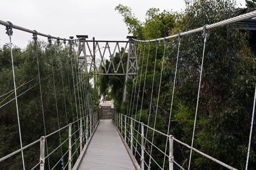 The Secret Swings and Suspension Bridge – Staycations California