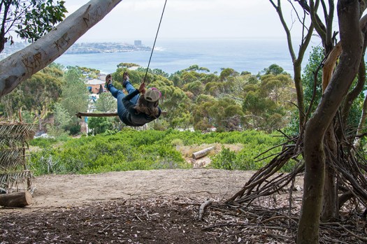 The Secret Swings and Suspension Bridge – Staycations California