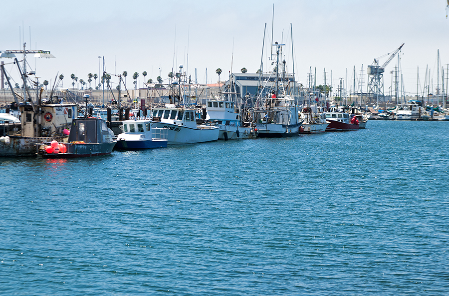 Terminal Island Japanese Fishing Village Memorial – Staycations California